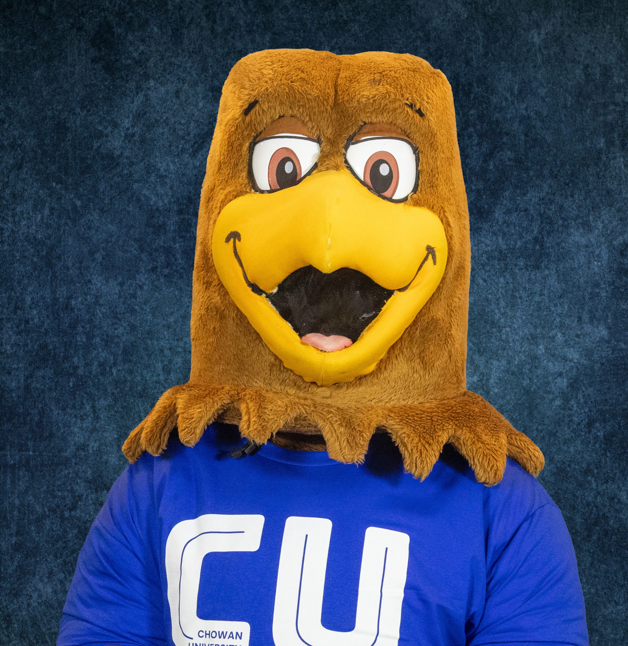 Murf the Hawk | Chowan University